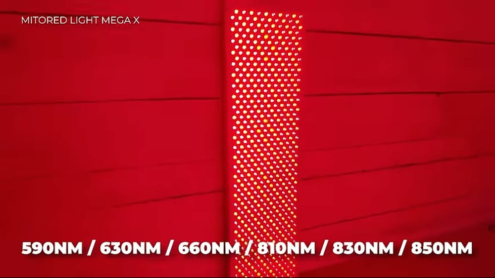 Best Red Light Therapy Full-Body Panels 2024: Huge Comparison!