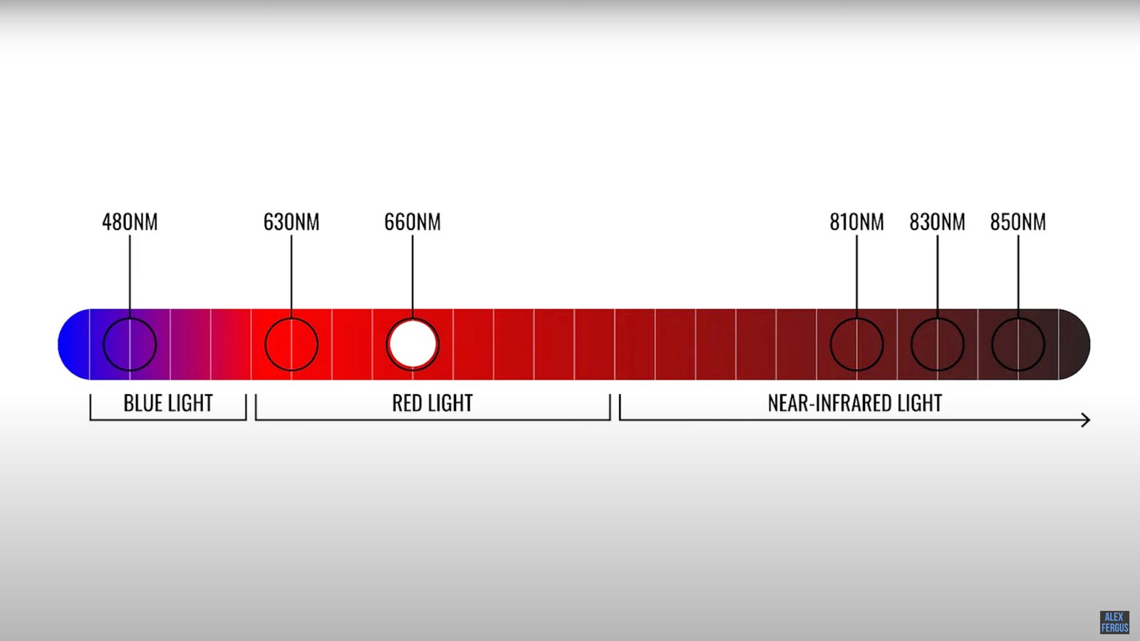 PlatinumLED BioMax 900 Review: Now With 1060nm Light?!!