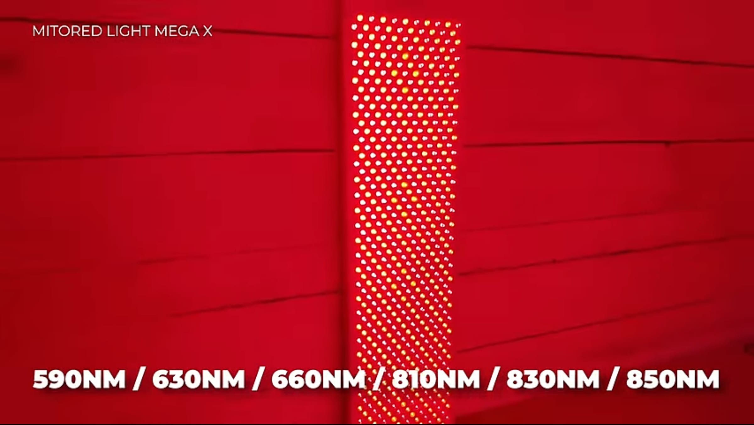 Best Red Light Therapy Full-Body Panels 2024: Huge Comparison!