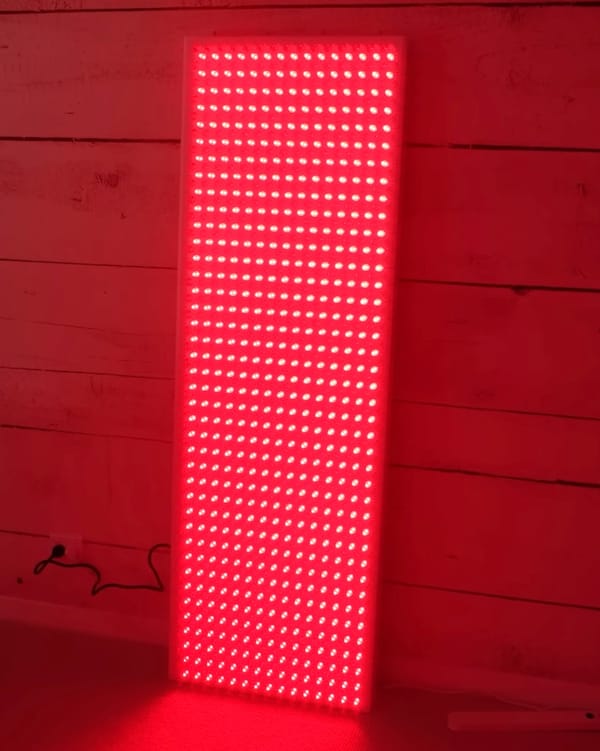 Best Red Light Therapy Full-Body Panels 2024: Huge Comparison!