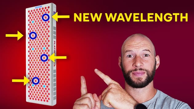 Light Therapy Insiders